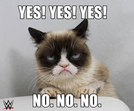 Grumpy Cat to Host WWE Monday Night RAW - Wrestlezone