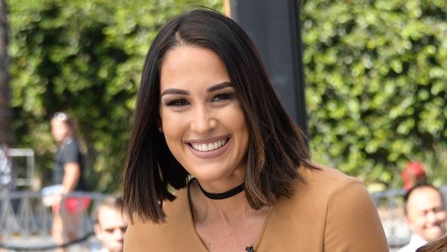 Brie Bella Opens Up About The Bella Twins Reuniting In 2018, How Long A ...