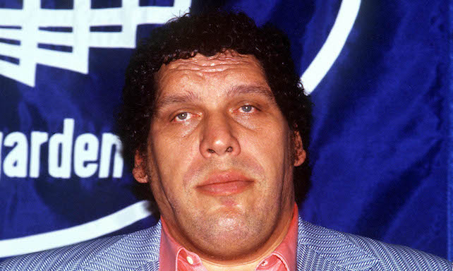 Watch: Andre the Giant Once Hit A Pedigree During A Match - Wrestlezone