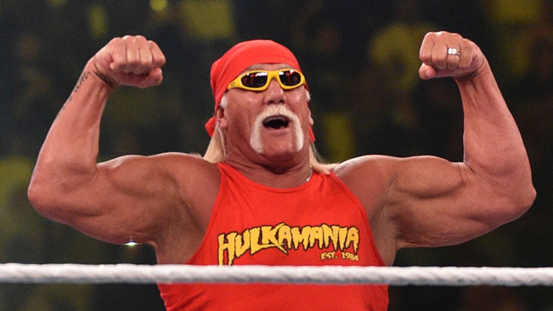 Ex-WWE Star Reflects On Pride Night, Gene Okerlund Trains With Hogan