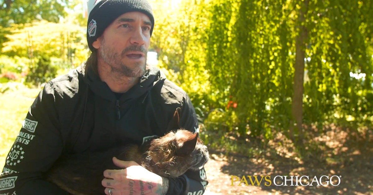 WATCH: CM Punk And His Dog Larry In ‘Underdog To Wonderdog’ Promo