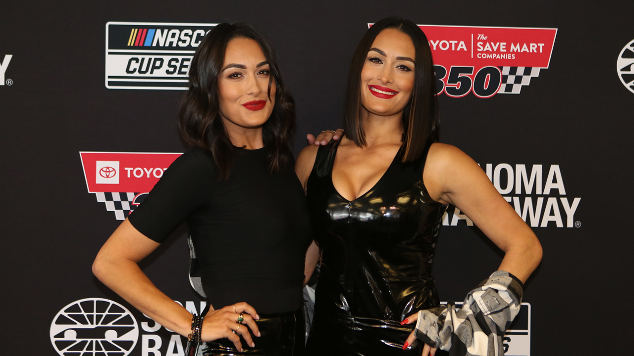The Bella Twins Reveal CM Punk’s Reaction To Nikki's WWE WrestleMania ...