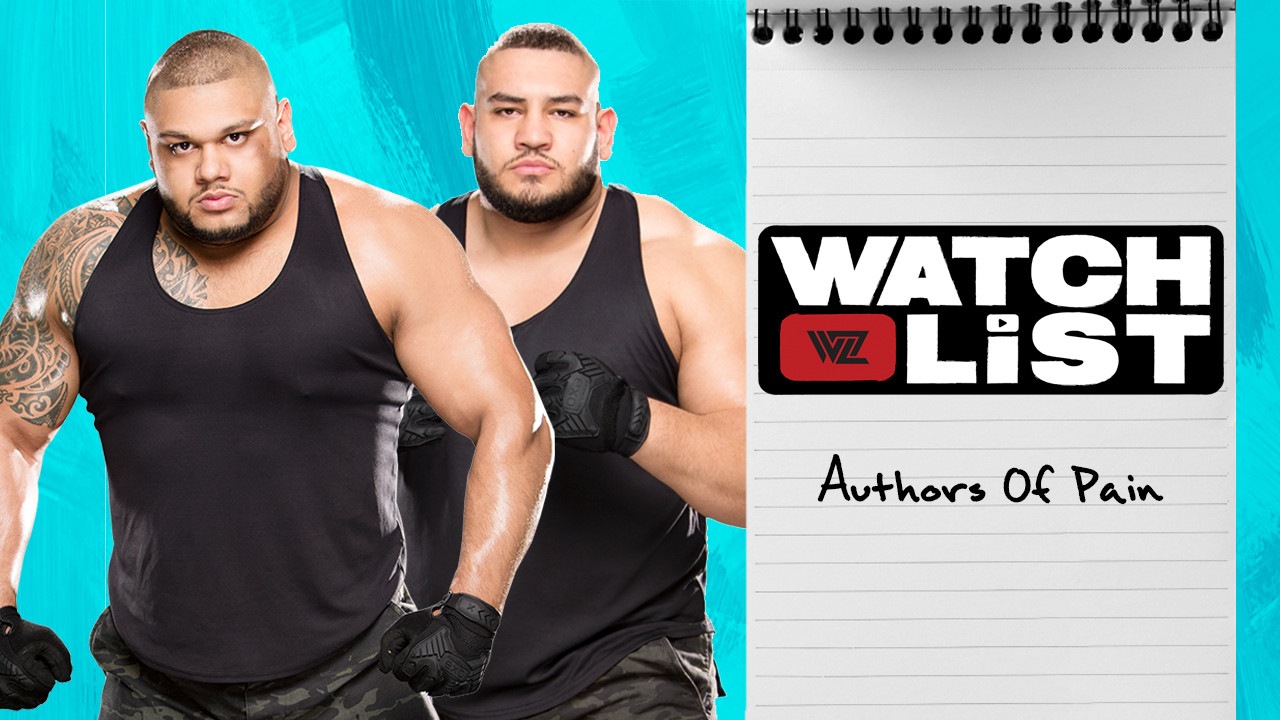 Authors Of Pain Got To Shine In NXT Contests Against DIY, The Revival
