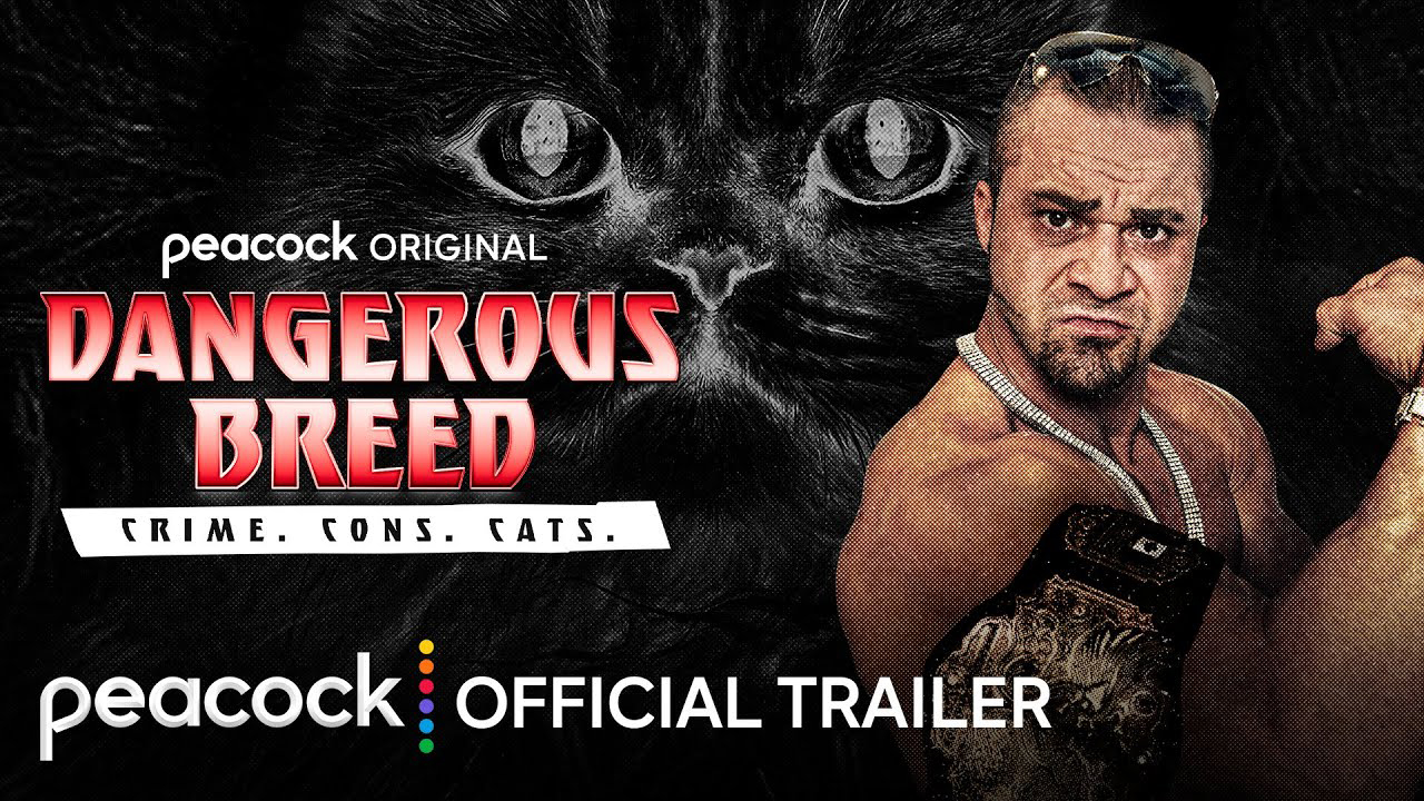 Teddy Hart Documentary Gets New Trailer, Release Date On Peacock