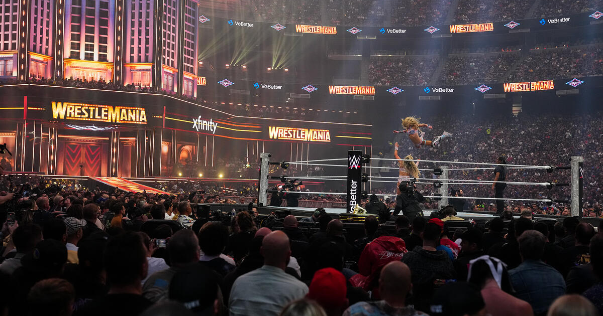 A Fan Paid $38,000 For VIP Ticket At WWE WrestleMania 41 - Wrestlezone