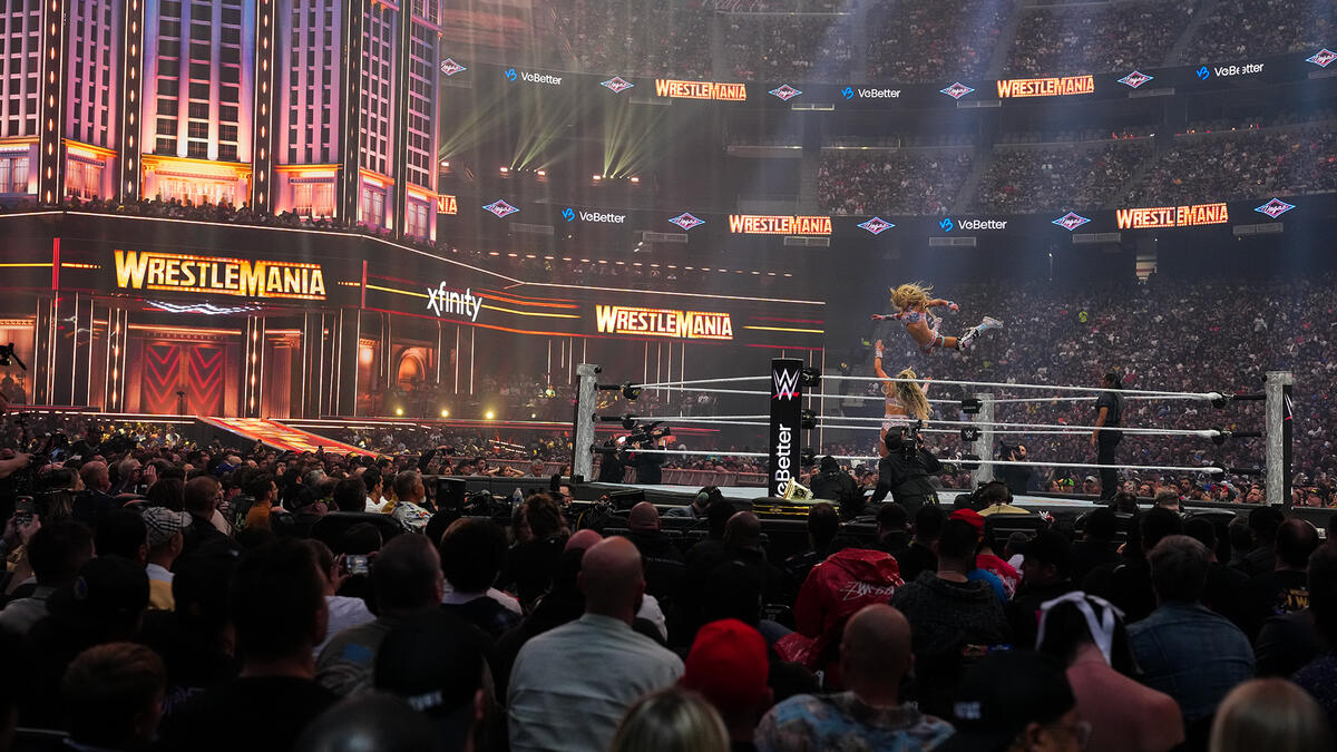 A Fan Paid $38,000 For VIP Ticket At WWE WrestleMania 41 - Wrestlezone