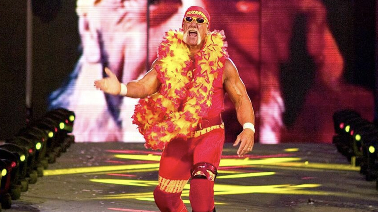 CM Punk and Hulk Hogan Have One Odd Thing In Common