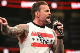 AJ Lee Shares How She And CM Punk First Started Dating - Wrestlezone
