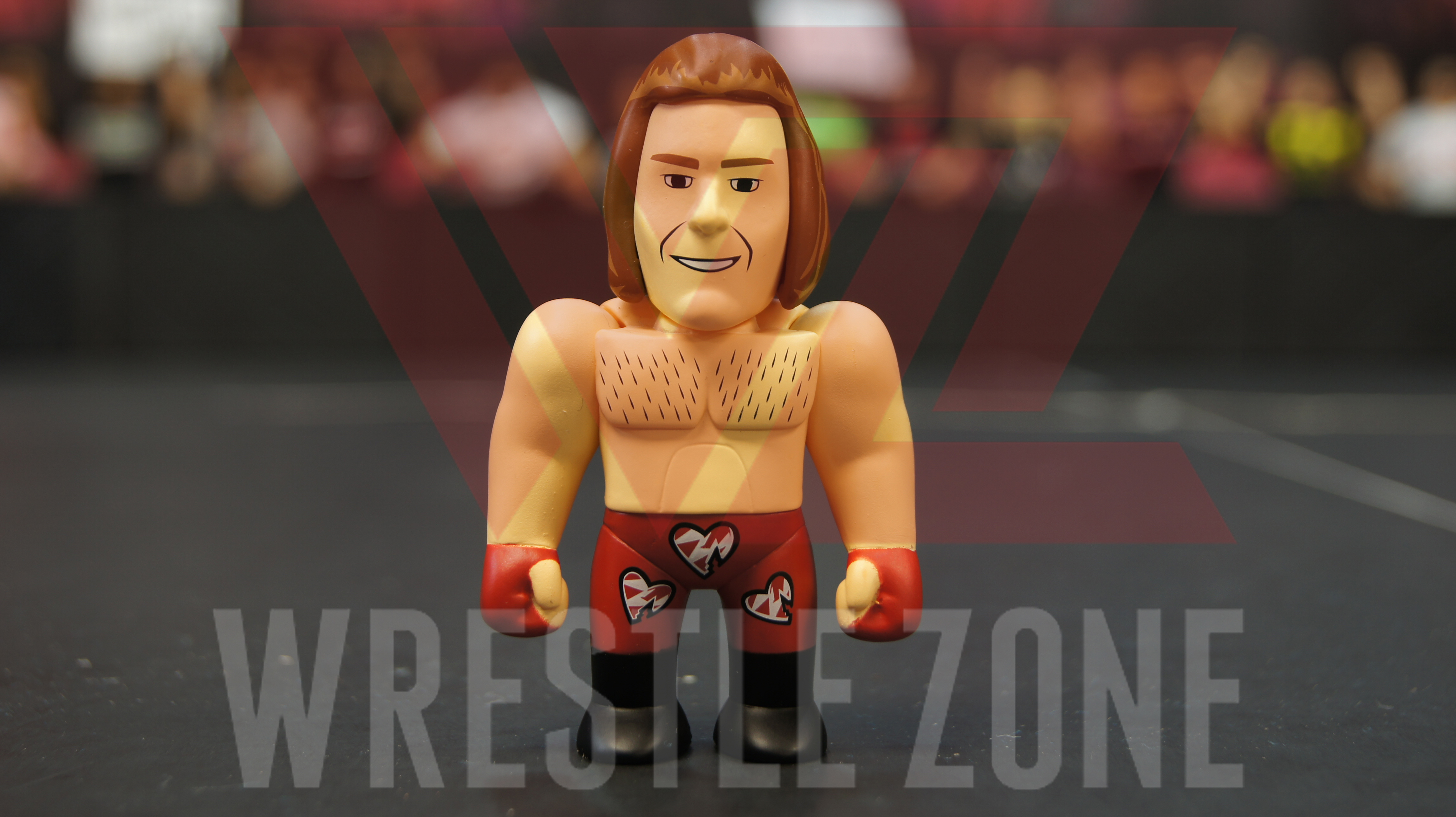 Collector's Corner: KidRobot - WWE Vinyl Blind Box Figures (Photos ...