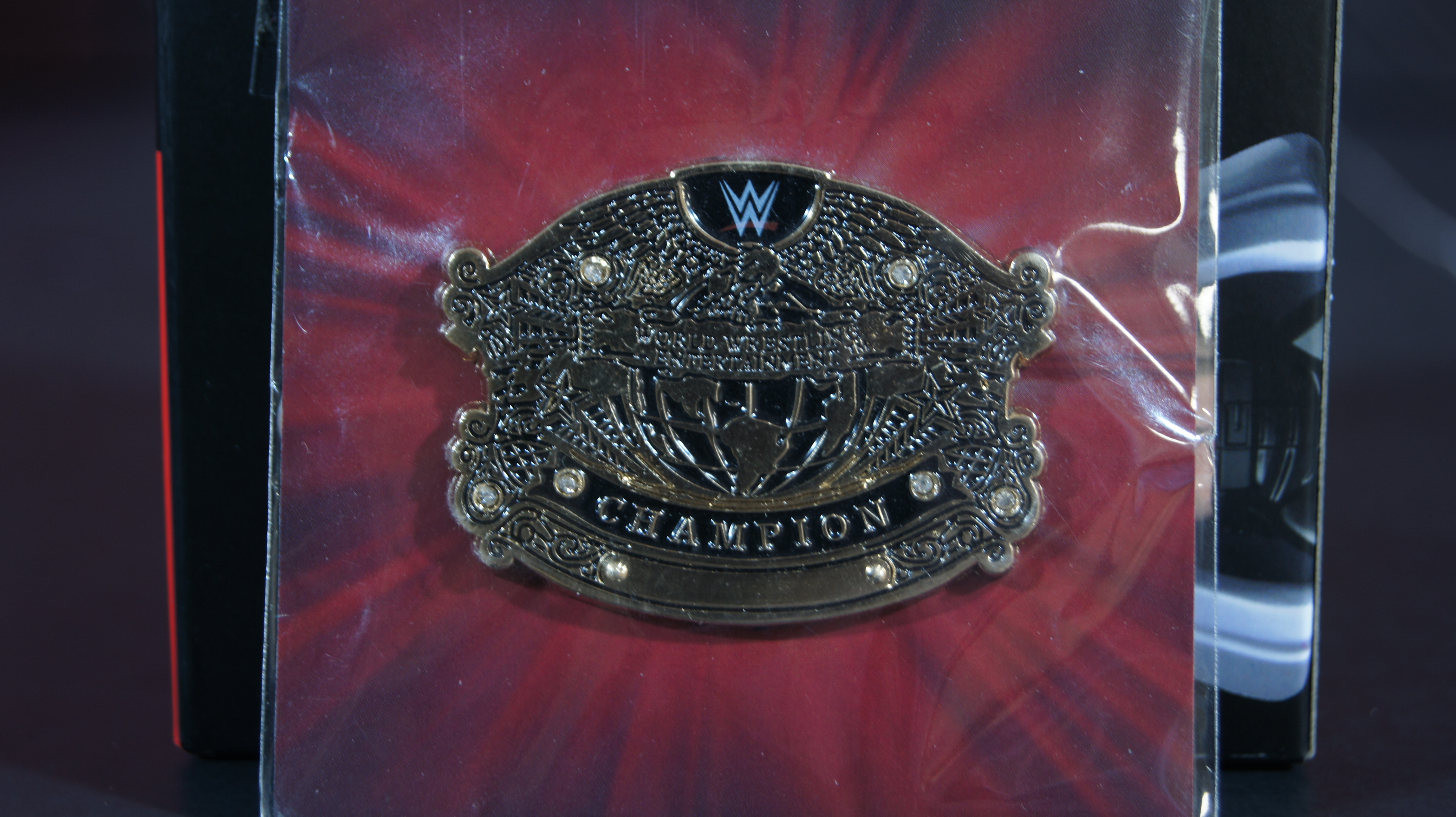 Collector's Corner: WWE "Now Entering The Ring!" Slam Crate Unboxing ...